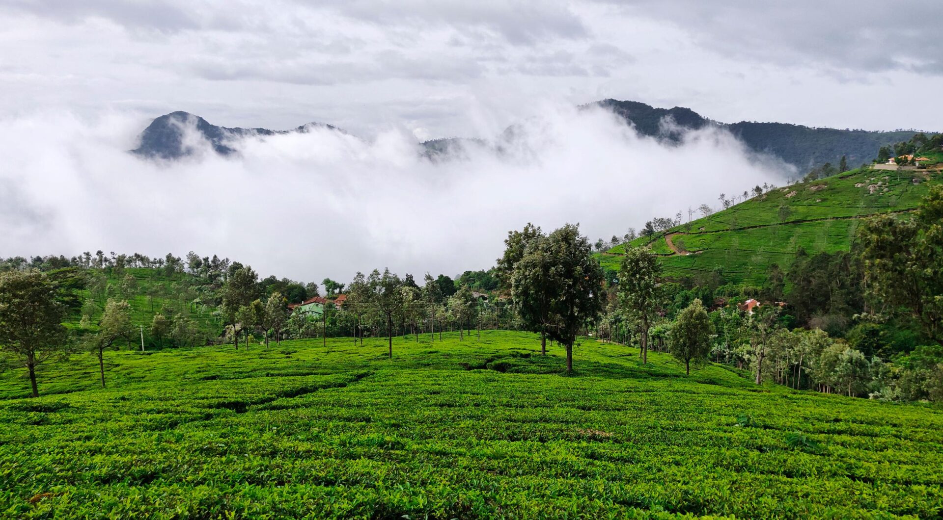 Unveiling the Charms: Best Places to Visit in Coimbatore During ...