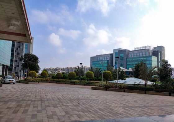 Best Software/IT Companies in Bangalore 2025| Zolo